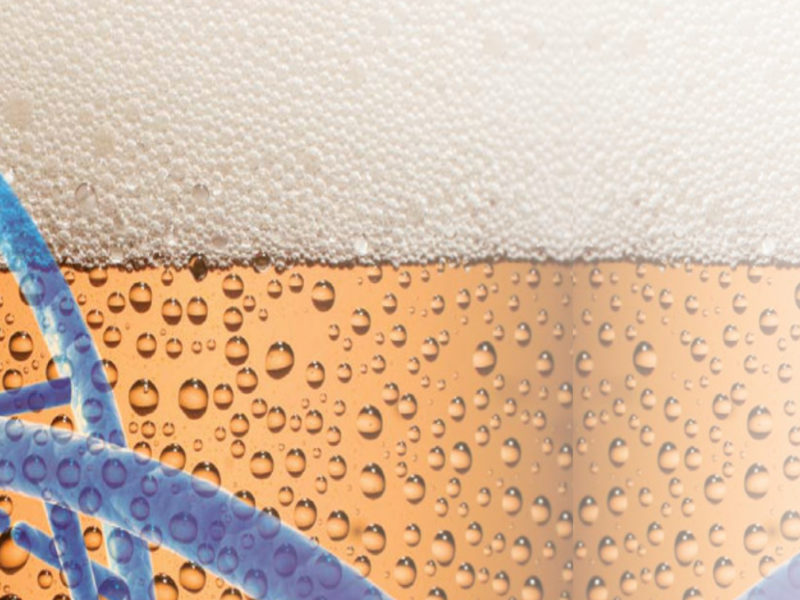 Rapid Detection of Beer Spoiling Bacteria - Milenia GenLine
