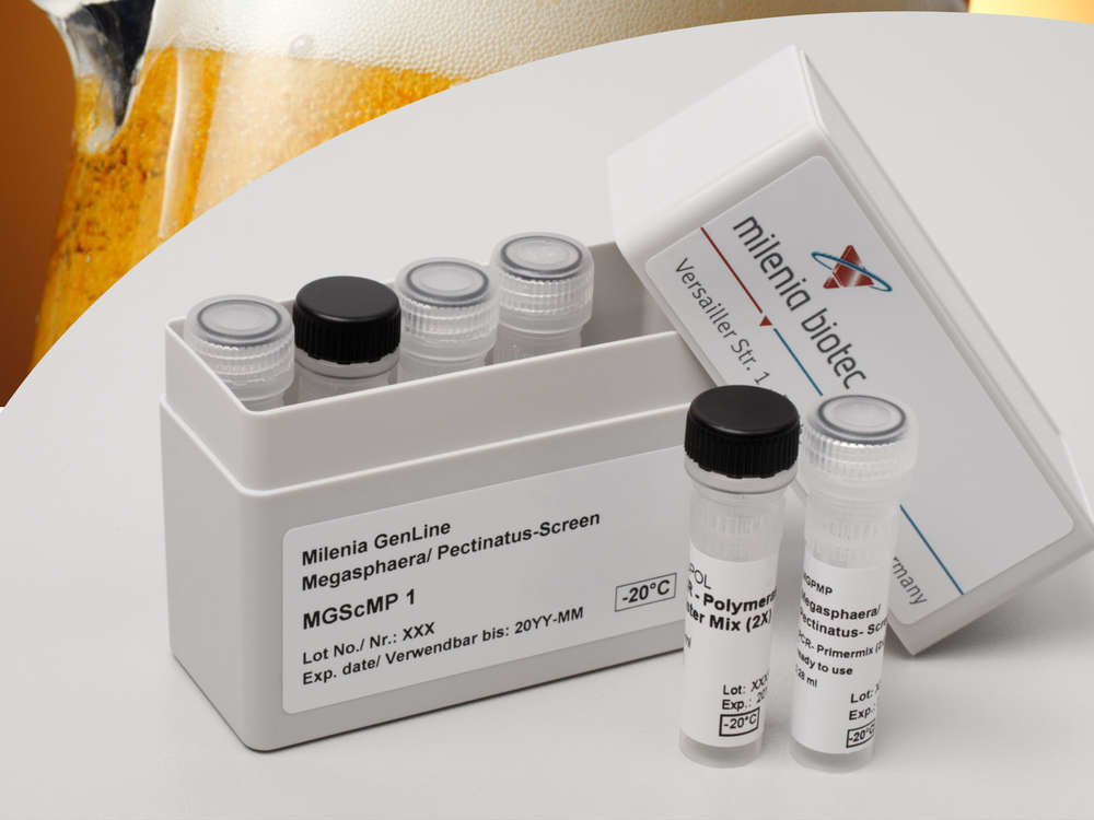 Megasphaera/Pectinatus Screen - Milenia Biotec