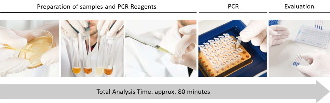 PCR Universal Module - Milenia Biotec