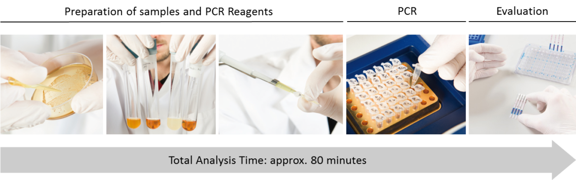 PCR Universal Module - Milenia Biotec