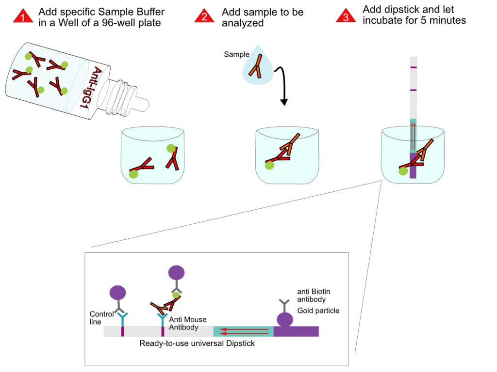 Mouse Antibody Isotype Detection - overview Milenia Biotec