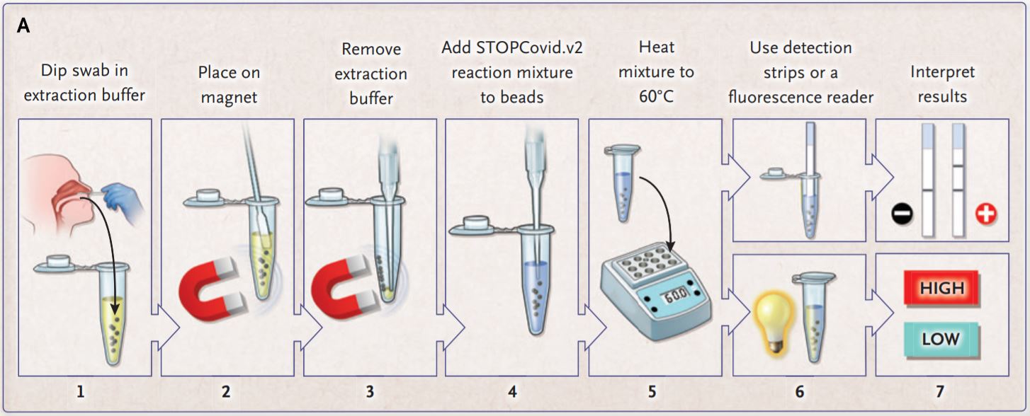 COVID-19 rapid test using CRISPR & HybriDetect
