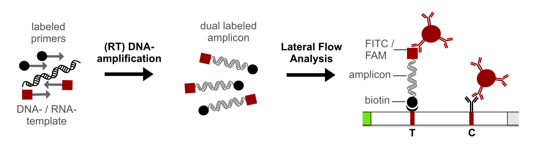 Milenia HybriDetect - Lateral Flow Development Platform