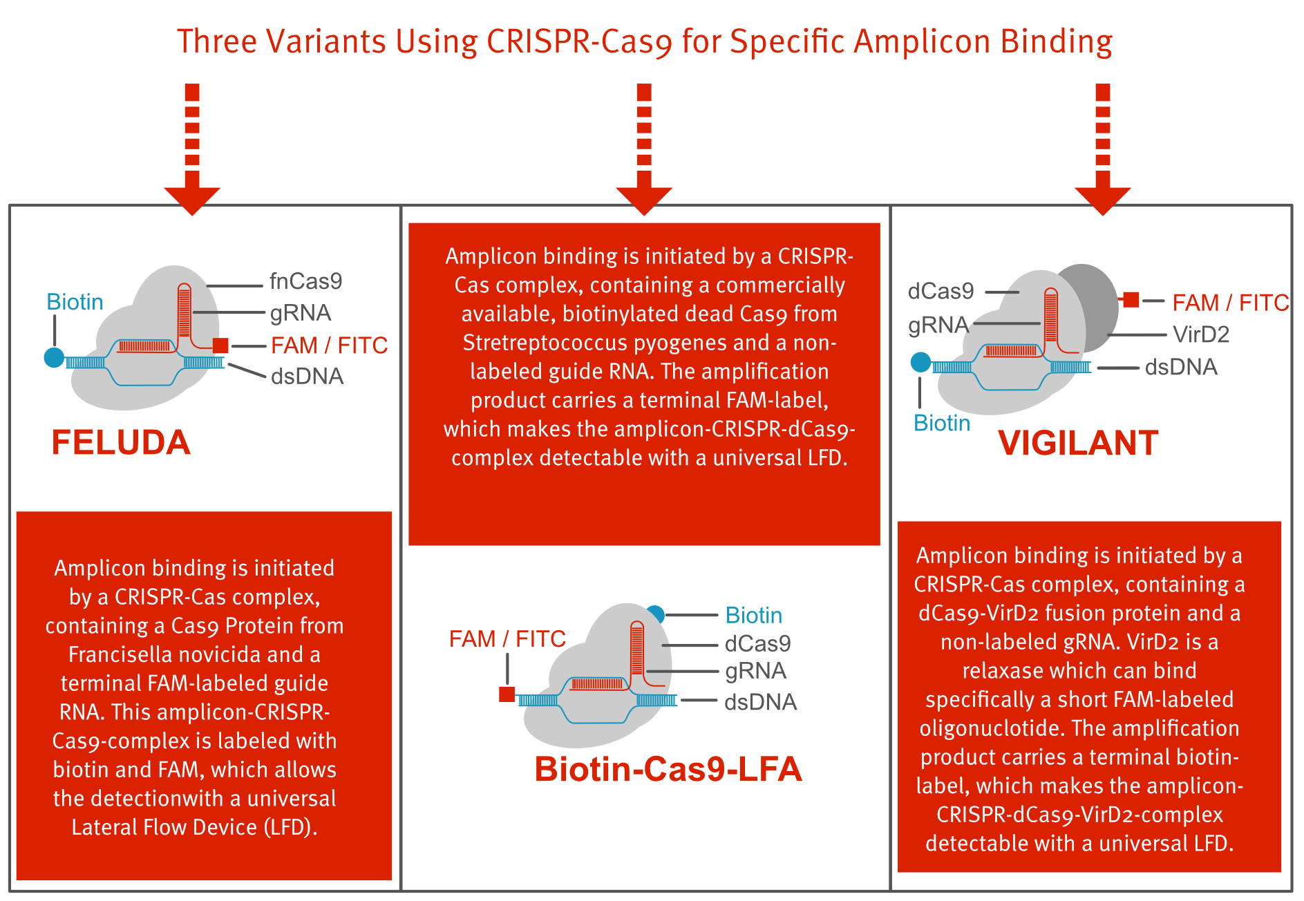 CRISPR-Cas & Lateral Flow