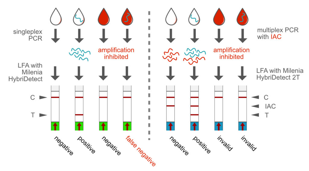 Multiplex Applications & Lateral Flow - Milenia Biotec