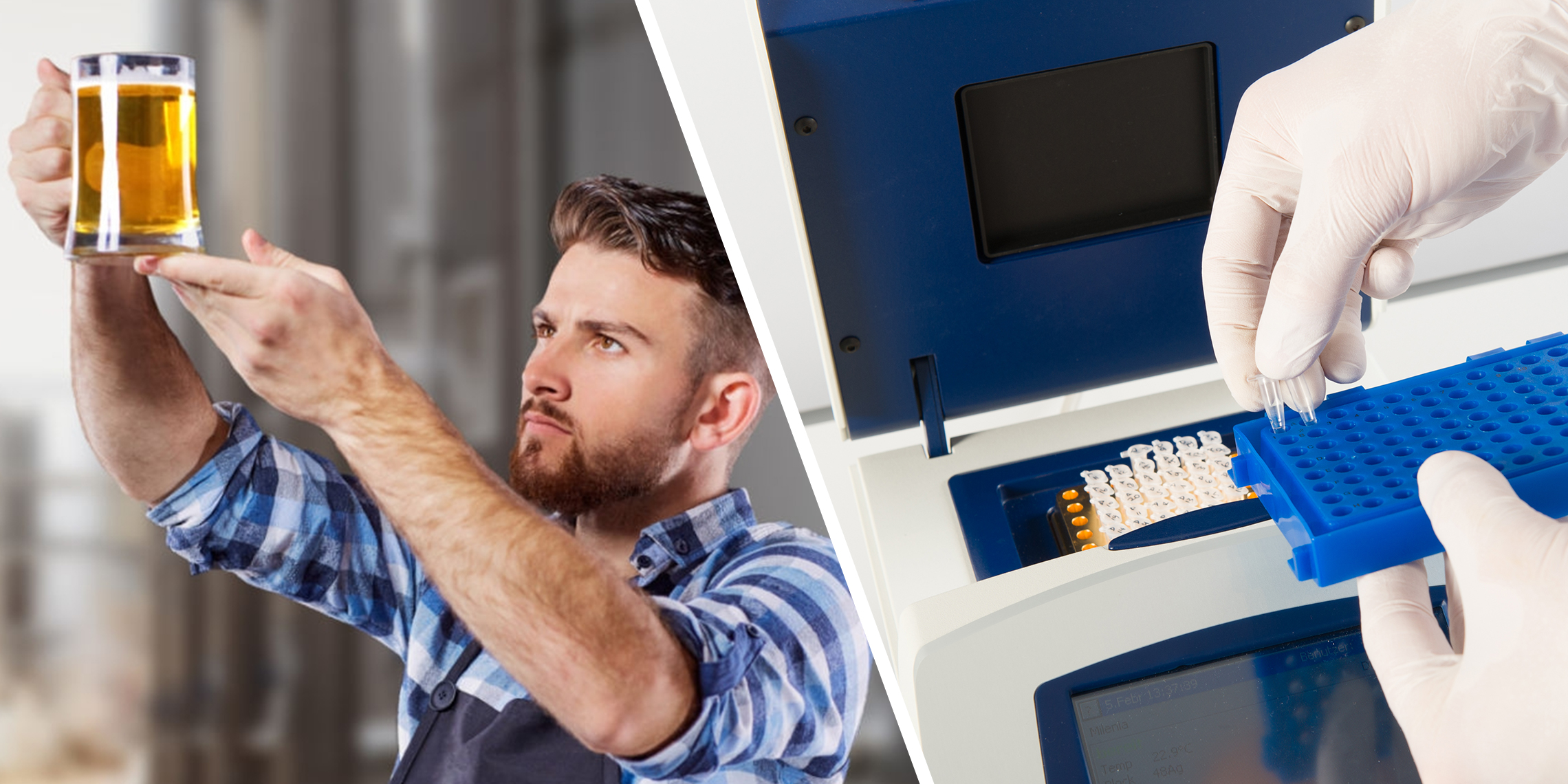 Milenia Biotec | Simple rapid test development