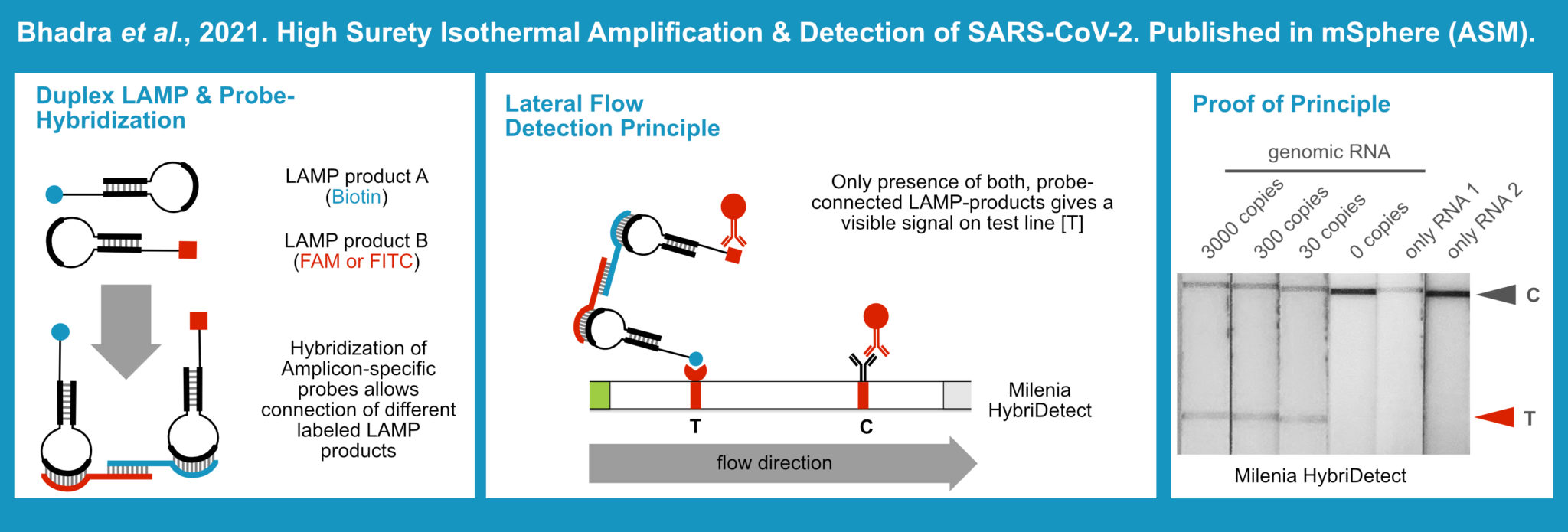 Multiplex Applications & Lateral Flow - Milenia Biotec