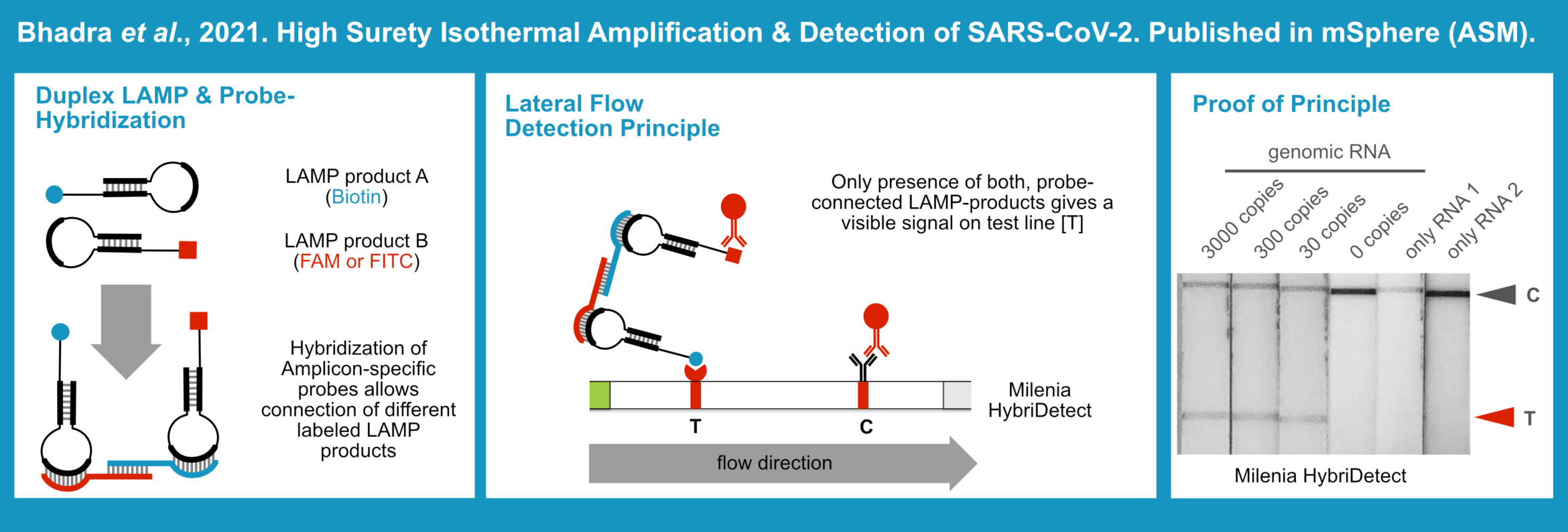 Multiplex Applications & Lateral Flow - Milenia Biotec