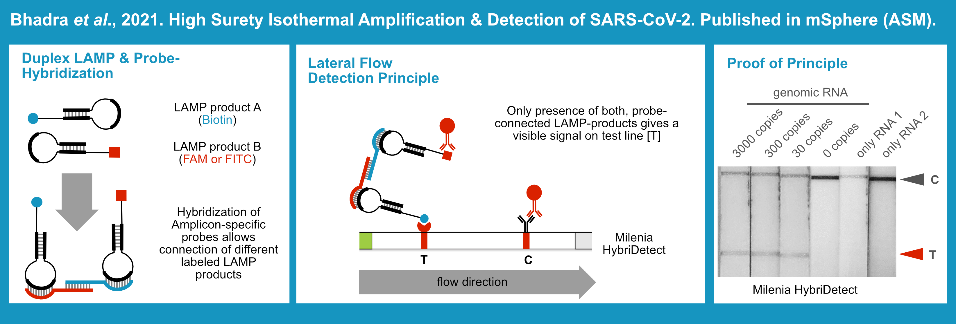 Multiplex Applications & Lateral Flow - Milenia Biotec