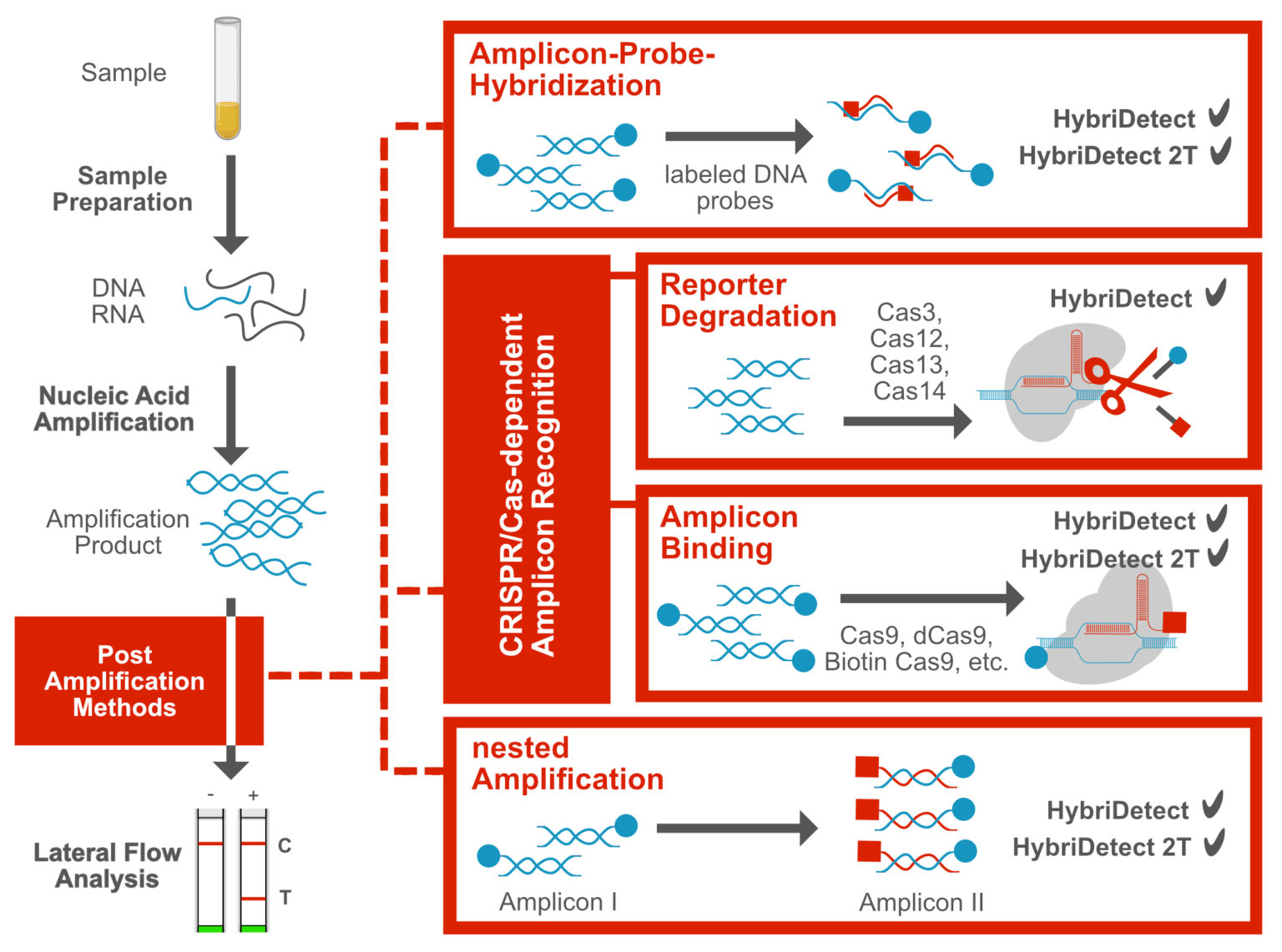 Multiplex Applications & Lateral Flow - Milenia Biotec