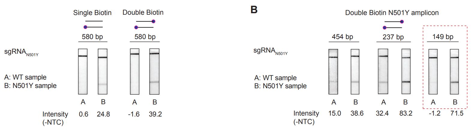 Multiplex Applications & Lateral Flow - Milenia Biotec