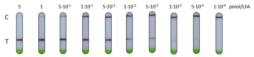 Milenia HybriDetect Cassette - Bring your Lateral Flow Assay Ideas to a ...