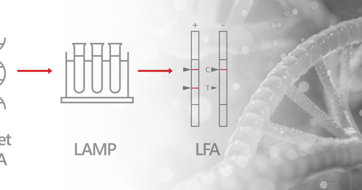 HybriDetect LAMP Kits - Molecular Biology Detection Systems from a ...