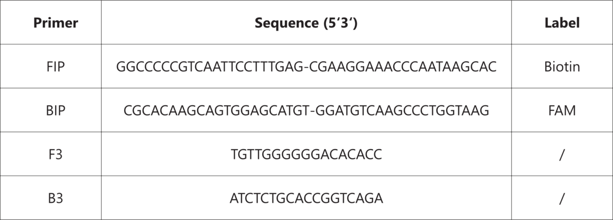 HybriDetect LAMP Kits - Molecular Biology Detection Systems from a ...